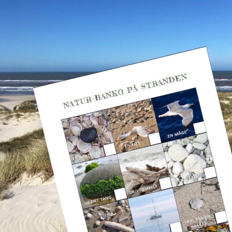 Natur-banko på stranden - Gratis undervisningsmateriale